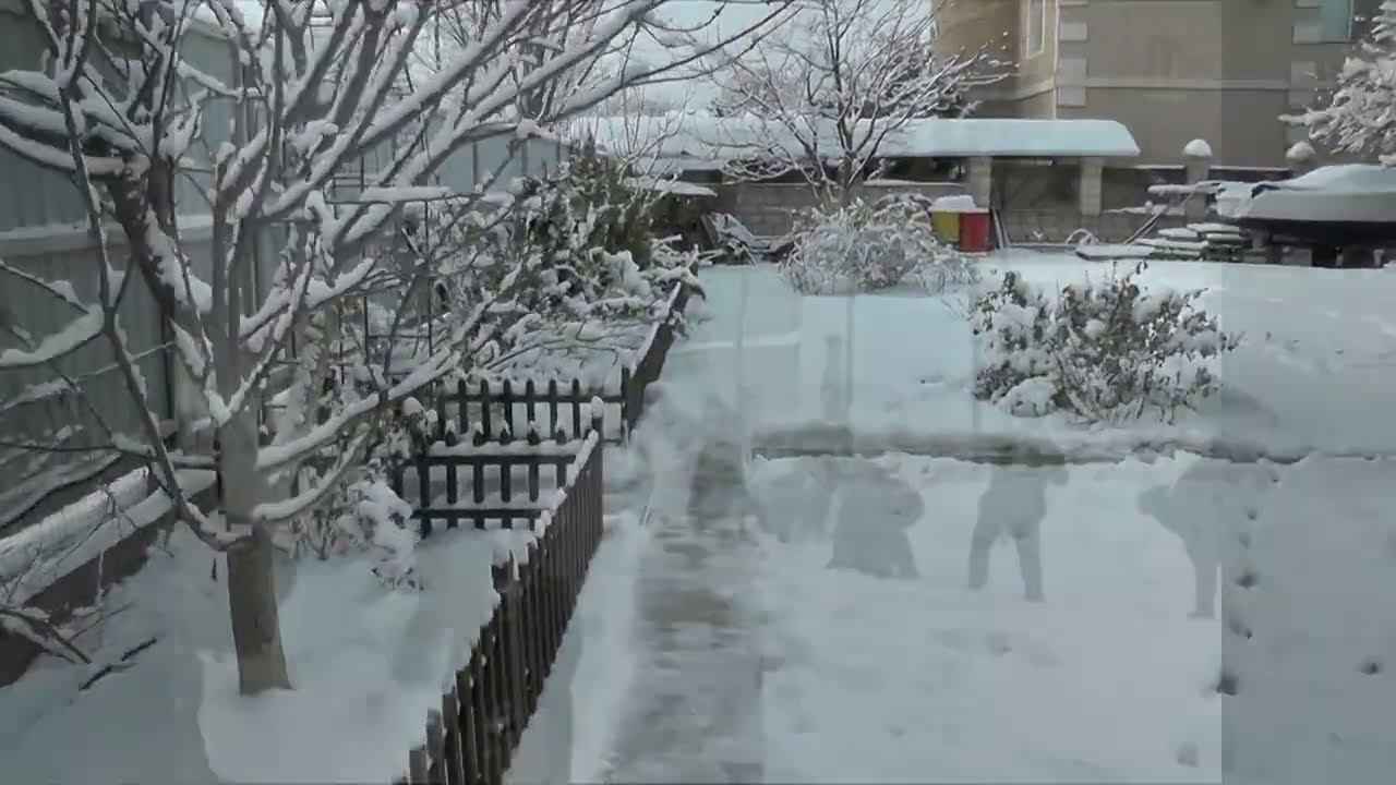 Слова и музыка Александр Решетько. "Снежная премьера".