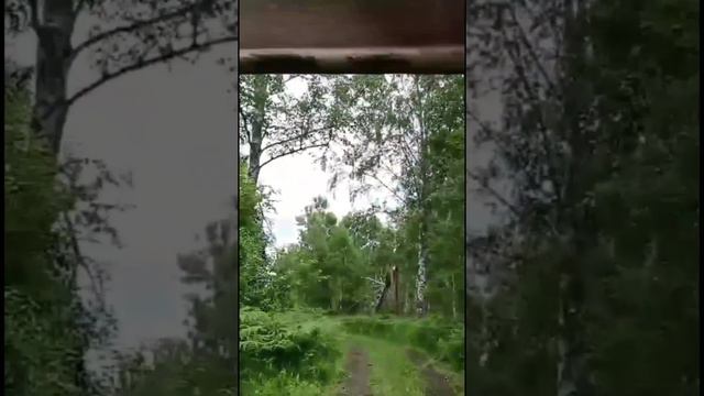 После дождя.