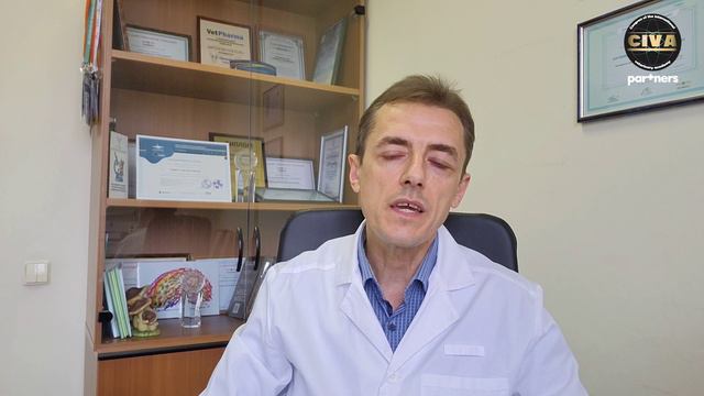 CIVA2024_Роман Овчинников