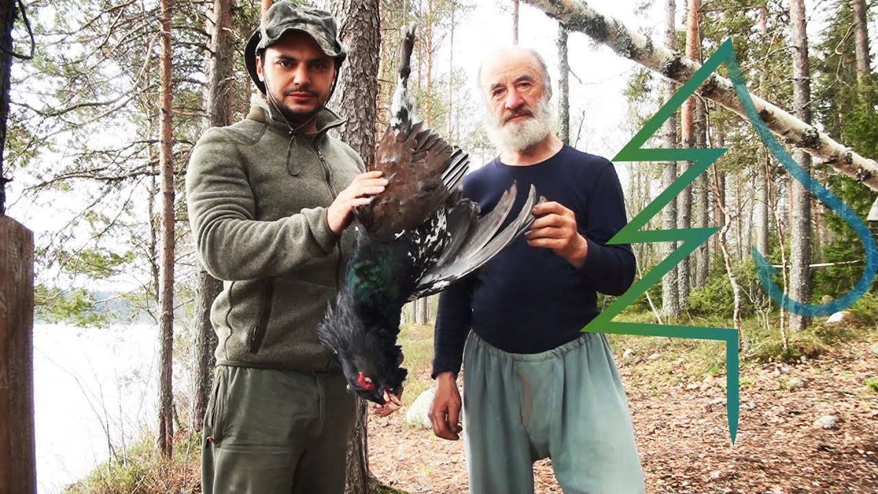 Застряли на медвежьей тропе. Как мы с Петровичем на глухариный ток в Карелию поехали.