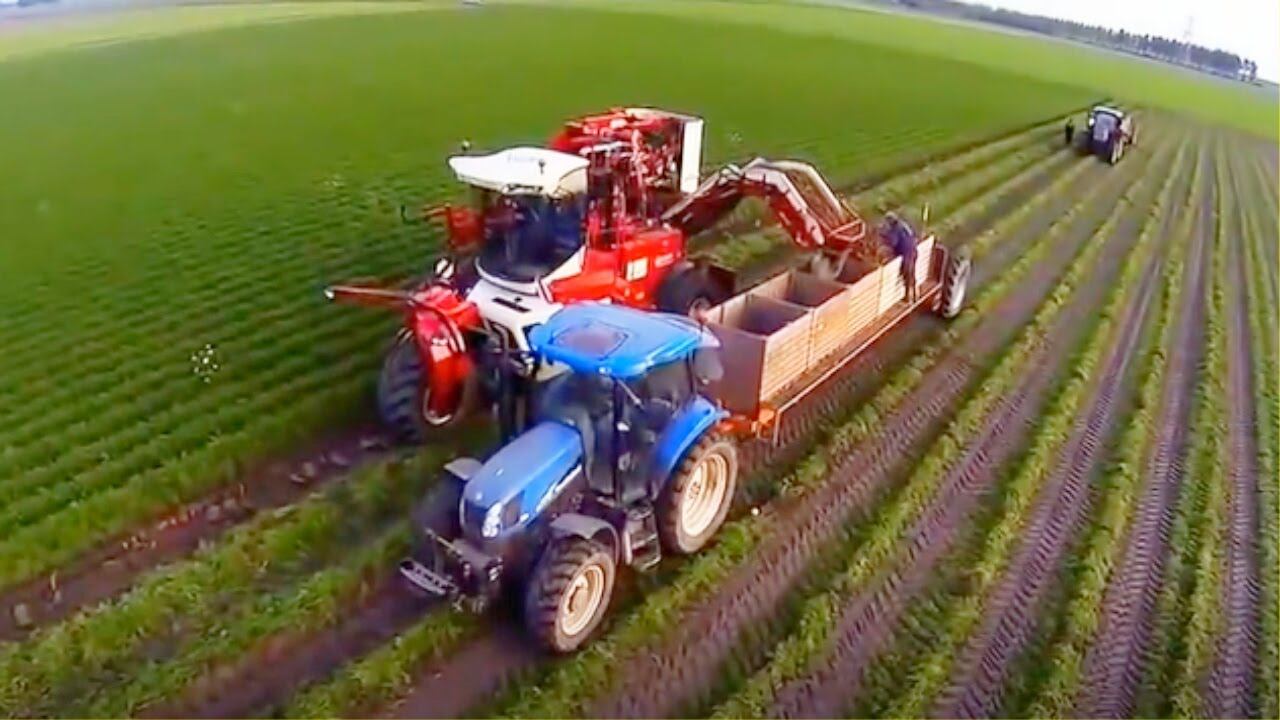 Самоходный морковоуборочный комбайн Simon Liner