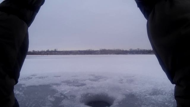 Безмотылка на Ахтубе рыбалка и погода удивляют все больше.