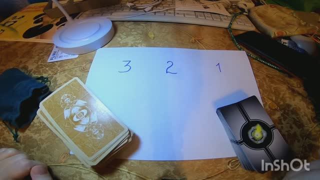 Прогноз на следующий день - Таро или Реза