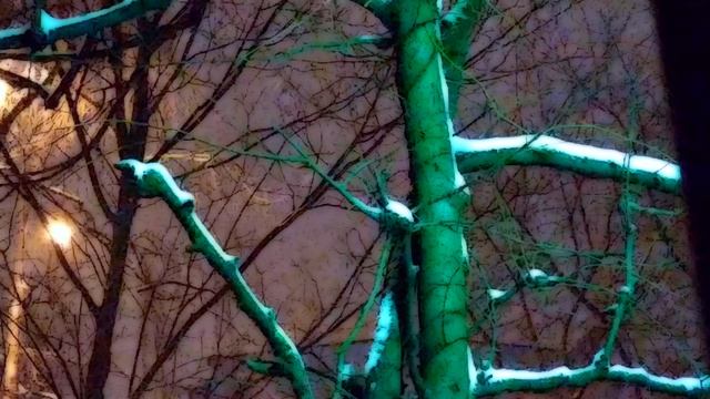 Медитация 164