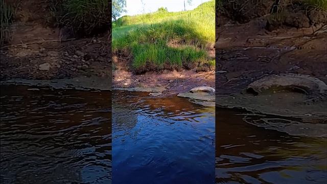 Соленая и пресная вода в одной реке, такое может быть?