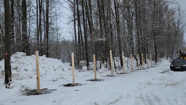 Здеоь будет спорткомплекс заложен 02 02 2024 г