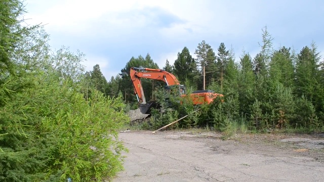 Закапывают следы преступления
