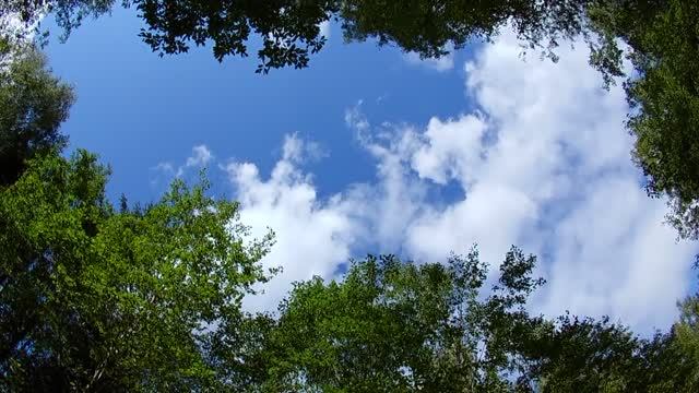 Исаково август 2018 (1280х720).mpg