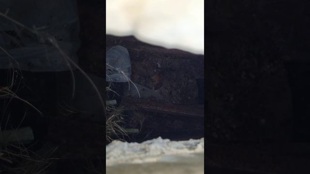 Кладбище имени Колумба в Гаване, Куба