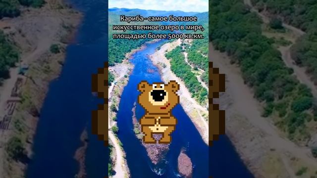 Мишка и Кариба