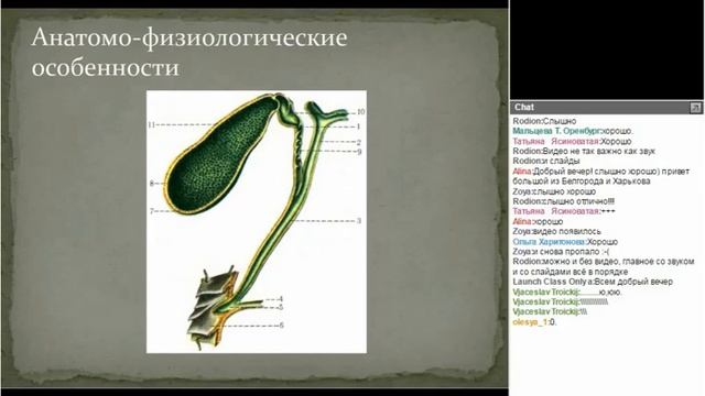6 Вебинар нaбор Здоровье вашей печени