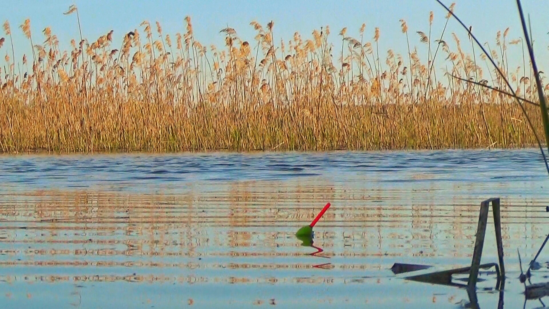 В Тростнике Рыбалка на Карася. На Поплавок Как Раньше в Деревне.