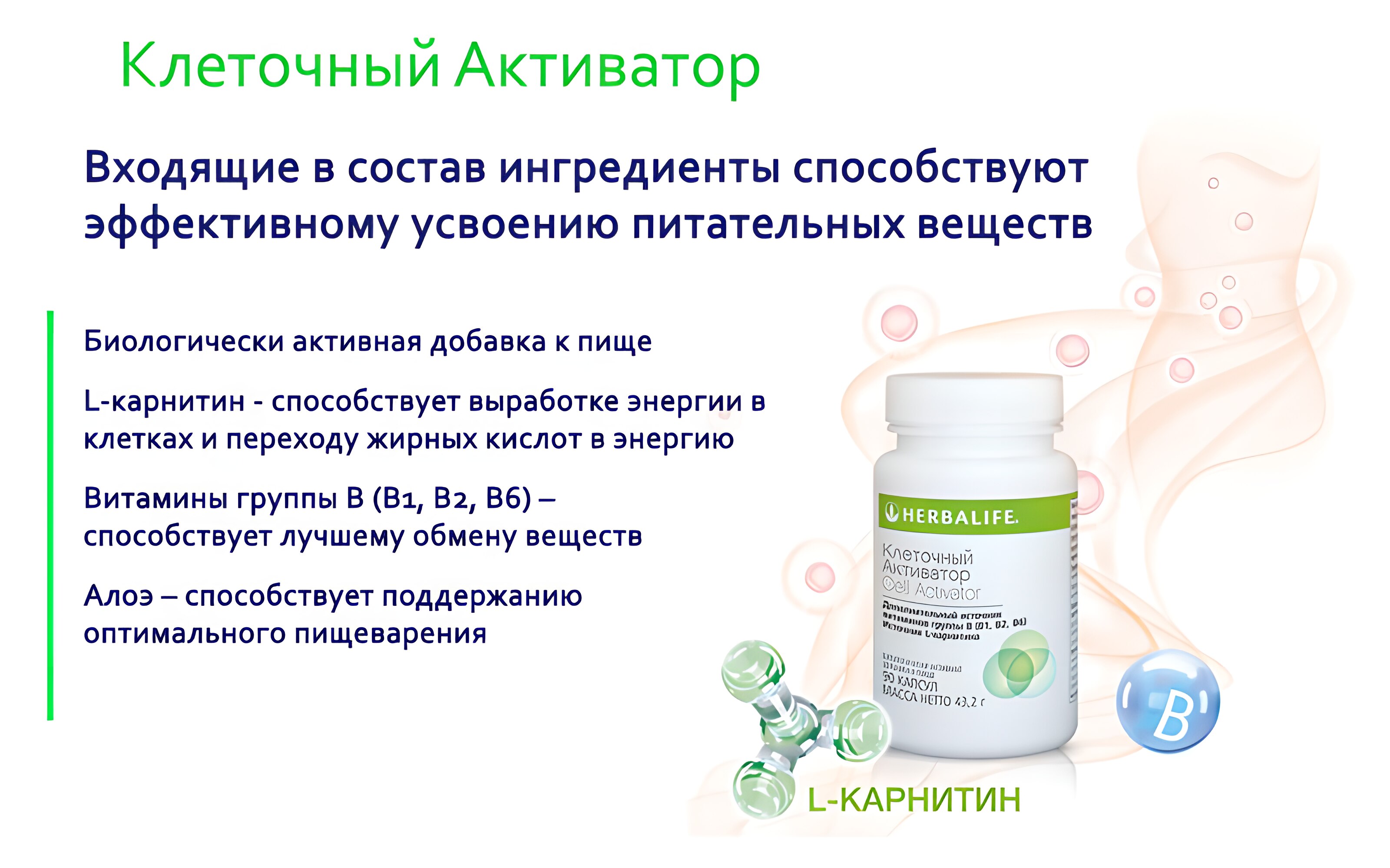 Вебинар Клеточный Активатор Гербалайф с Зухрой Павловой