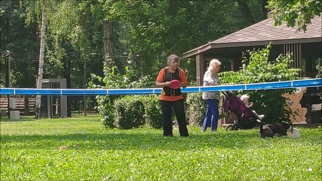 #собакивгороде2019 Лена и Касси.mp4