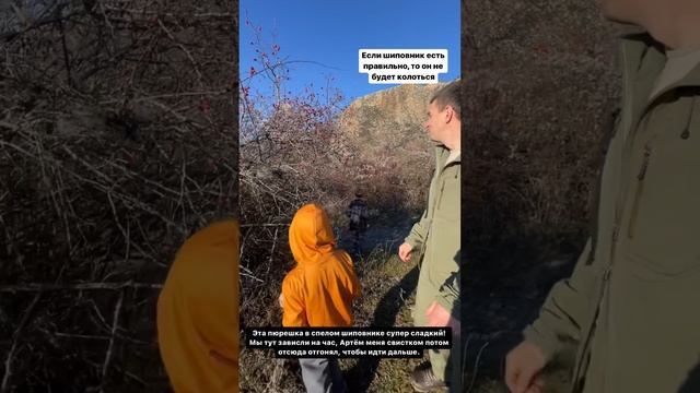 Крым. Новогоднее путешествие ‘23 Демерджи
Первая прогулка.