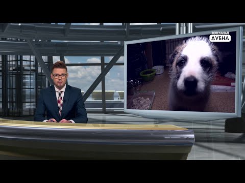 Итоги недели 23.12.2021