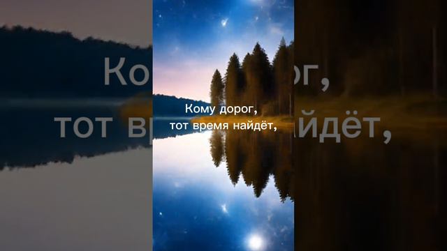 правда жизни