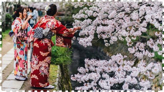 КРАСИВАЯ МЕЛОДИЯ «Веточка сакуры»композитор Виктор Анохин #instrumentalmusic #improvisation #музыка