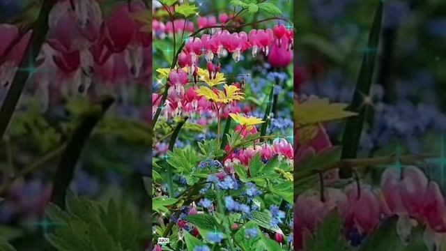 Хорошего настроения