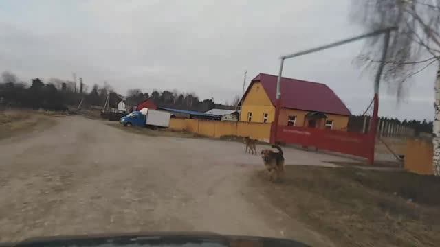 VID_006 Доброе утро Страна, с добрым вторником.mp4