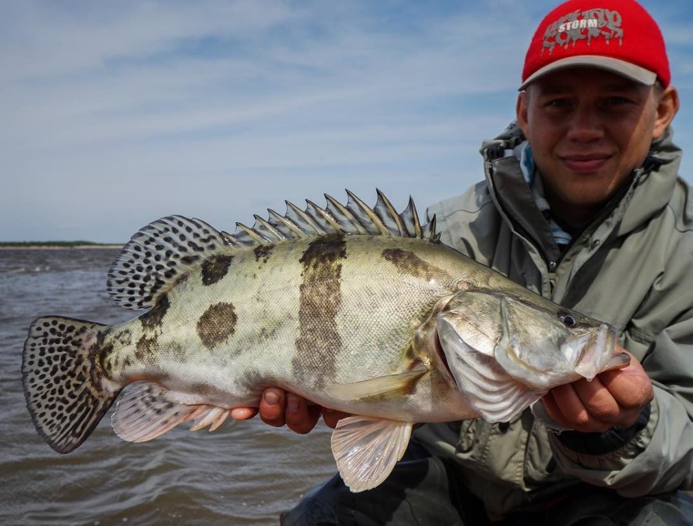 358. Трофеи 135.mp4