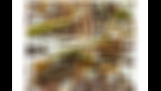 Влад Бахов.  Где трусы?