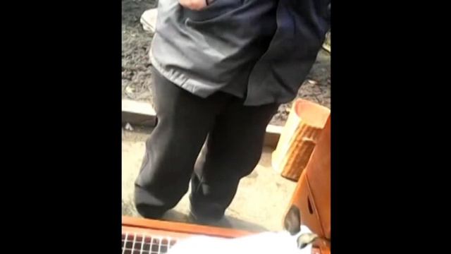 Выставка-ярмарка пернатых и других селькохозяйственных животных 20.02.16 г. (г. Кривой Рог, парк им.