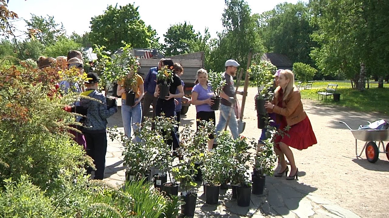 Здравствуй, дерево! # 4