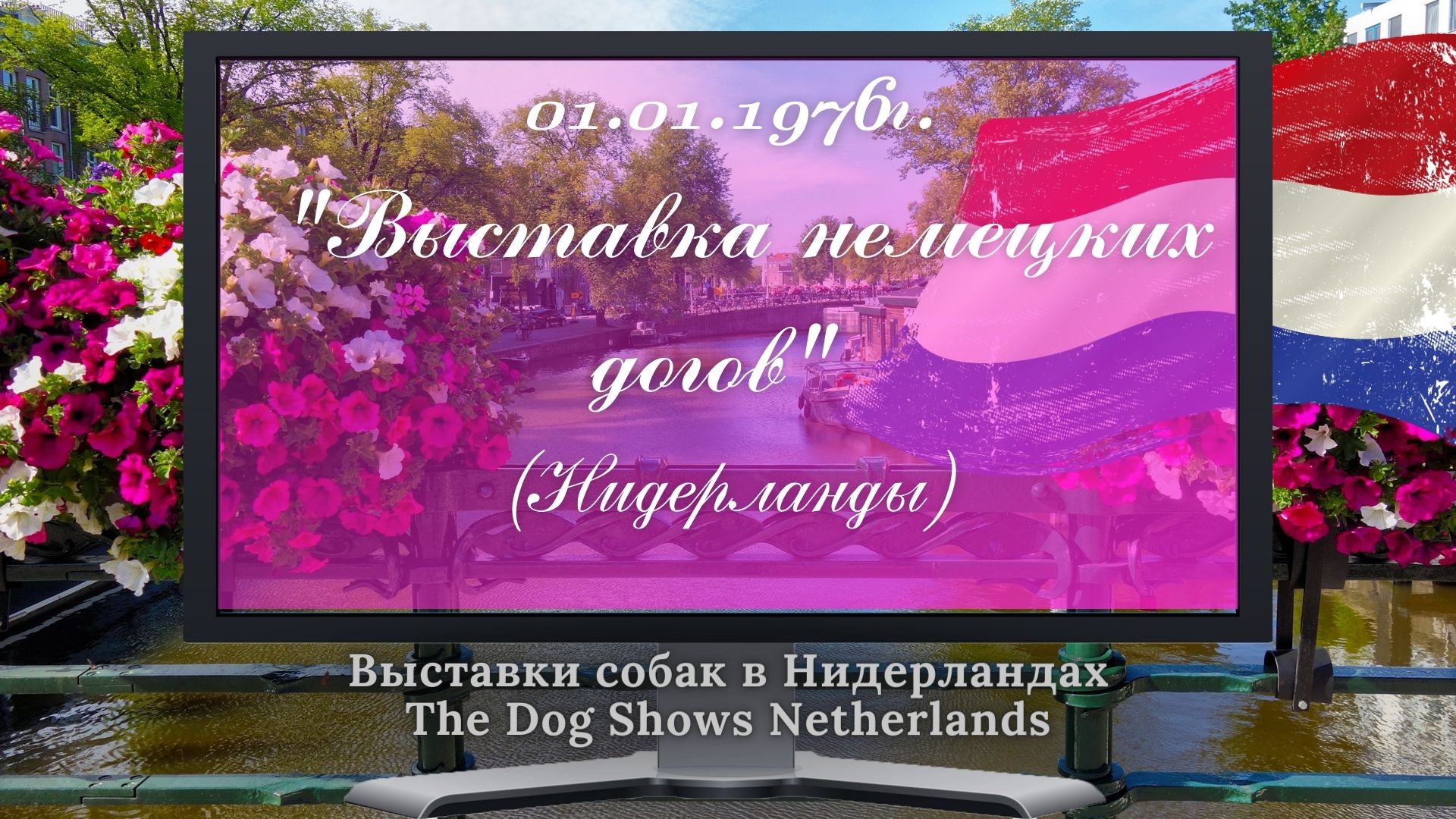 01.01.1976 Выставка немецких догов, Нидерланды