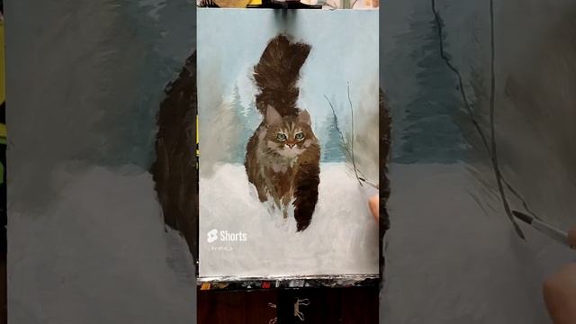 Зимний котик.