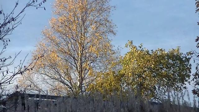 Как жаль- я не умею рисовать