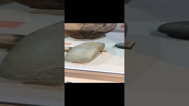 Краеведческий музей Курск