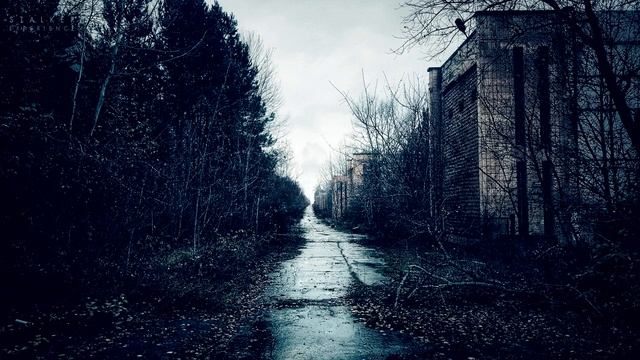 Сталкер топ релакс фм  музыка  Подпишись не пропускай новинки #stalker  #релакс