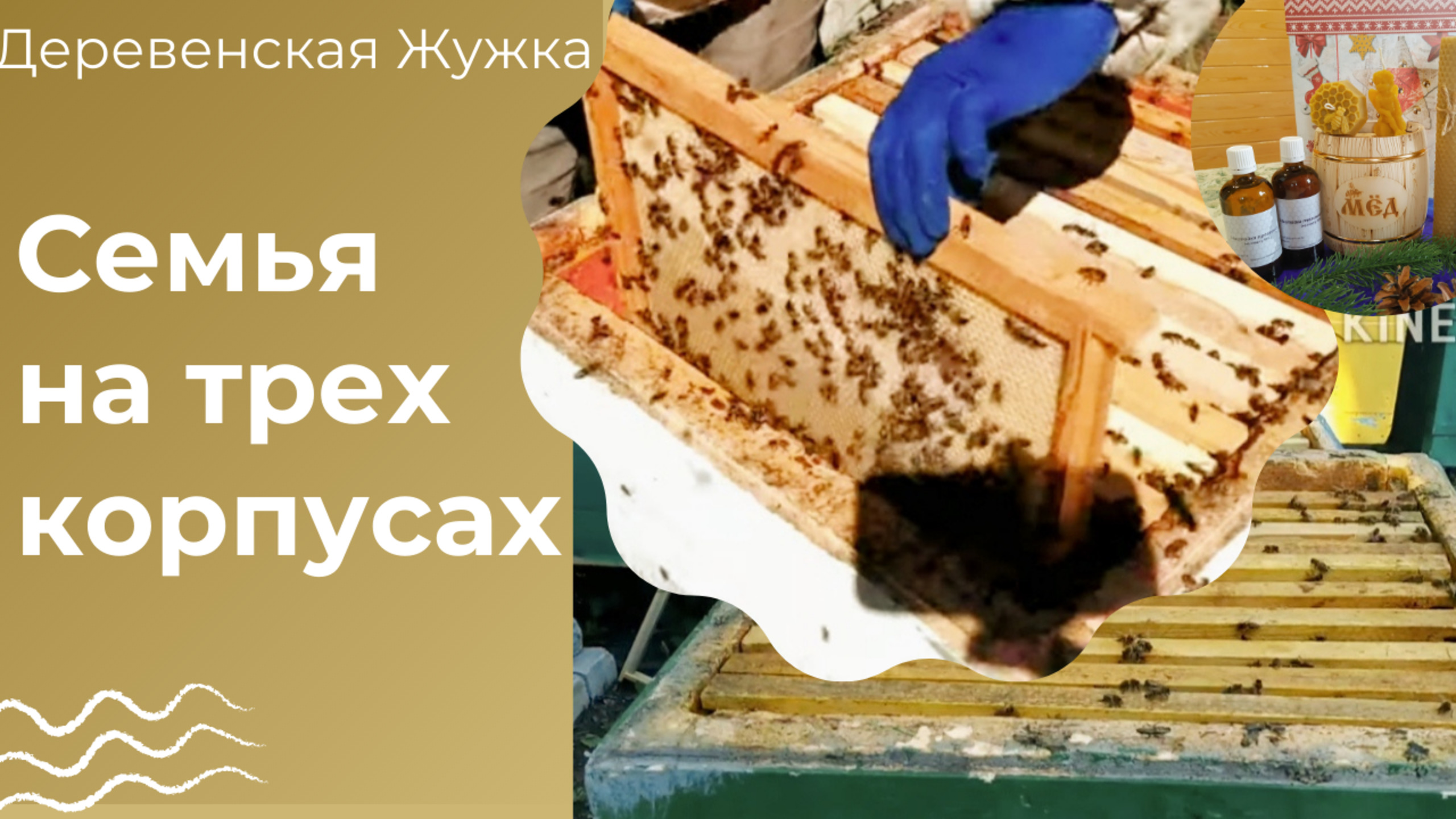 Пчелы. Семья на трех корпусах Часть 2 (Bee.)