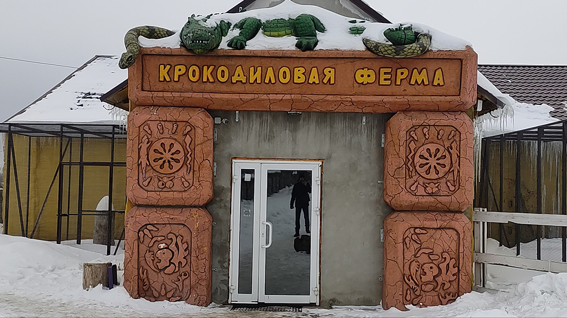КРОКОДИЛОВАЯ ФЕРМА И НЕ ТОЛЬКО