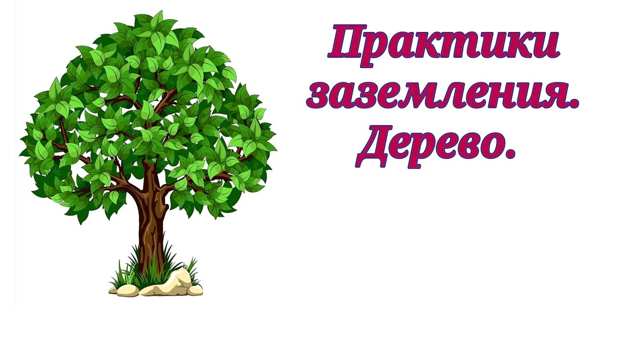 Практики заземления. Дерево. 9 марта 2022 г.mp4