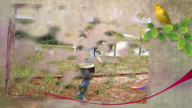 "Танцуй, танцуй" - Бесплатный проект ProShowProducer Indian dances