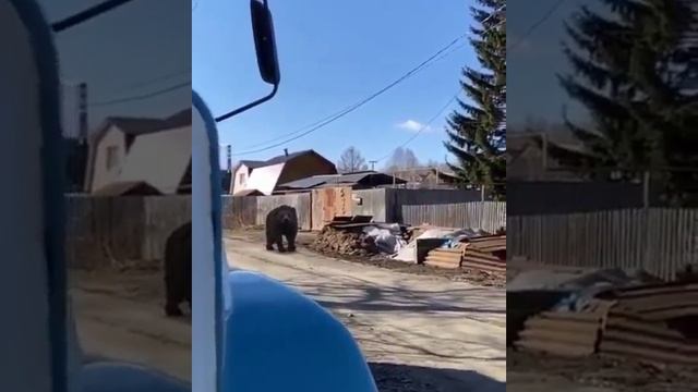 Мужик, я сейчас Тебя Заломаю!