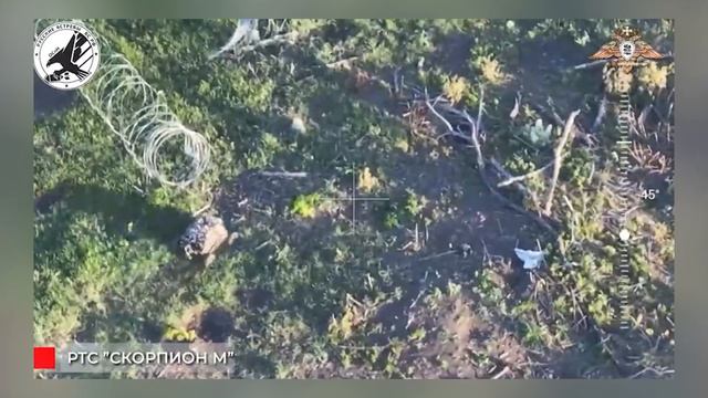 Наземный дрон-камикадзе «Скорпион-М».