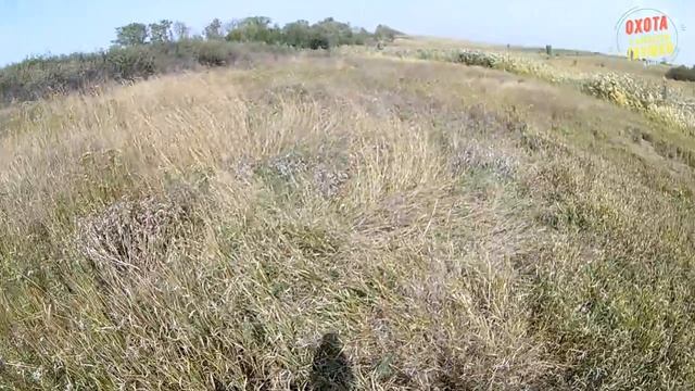 (18 ) ОХОТА НА УТКУ (№ - 2) (2017).mp4