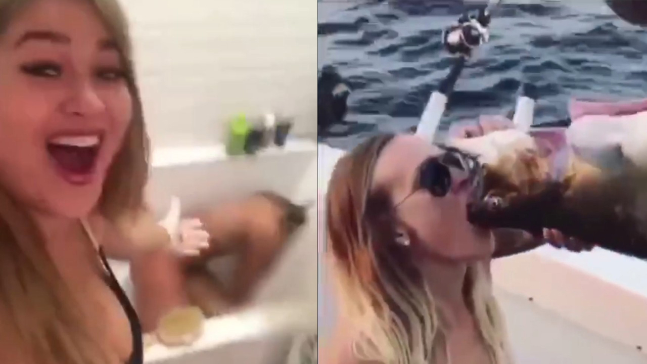 Приколы из Тик Ток май 2021