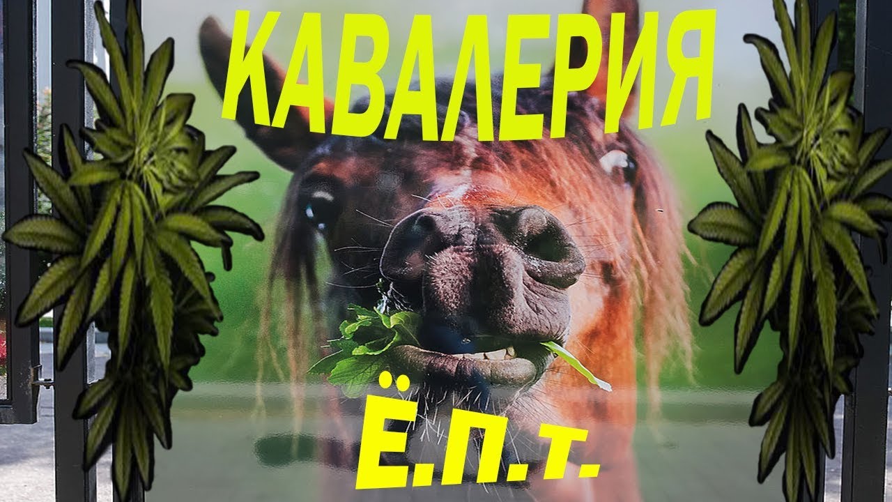 Обзор. Кавалерия. Долбо-эпический боевик.