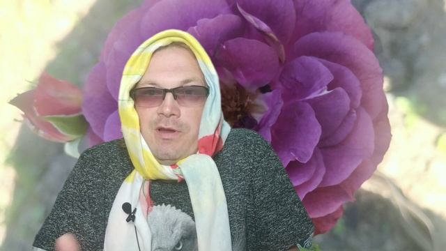 Бабуля шутит