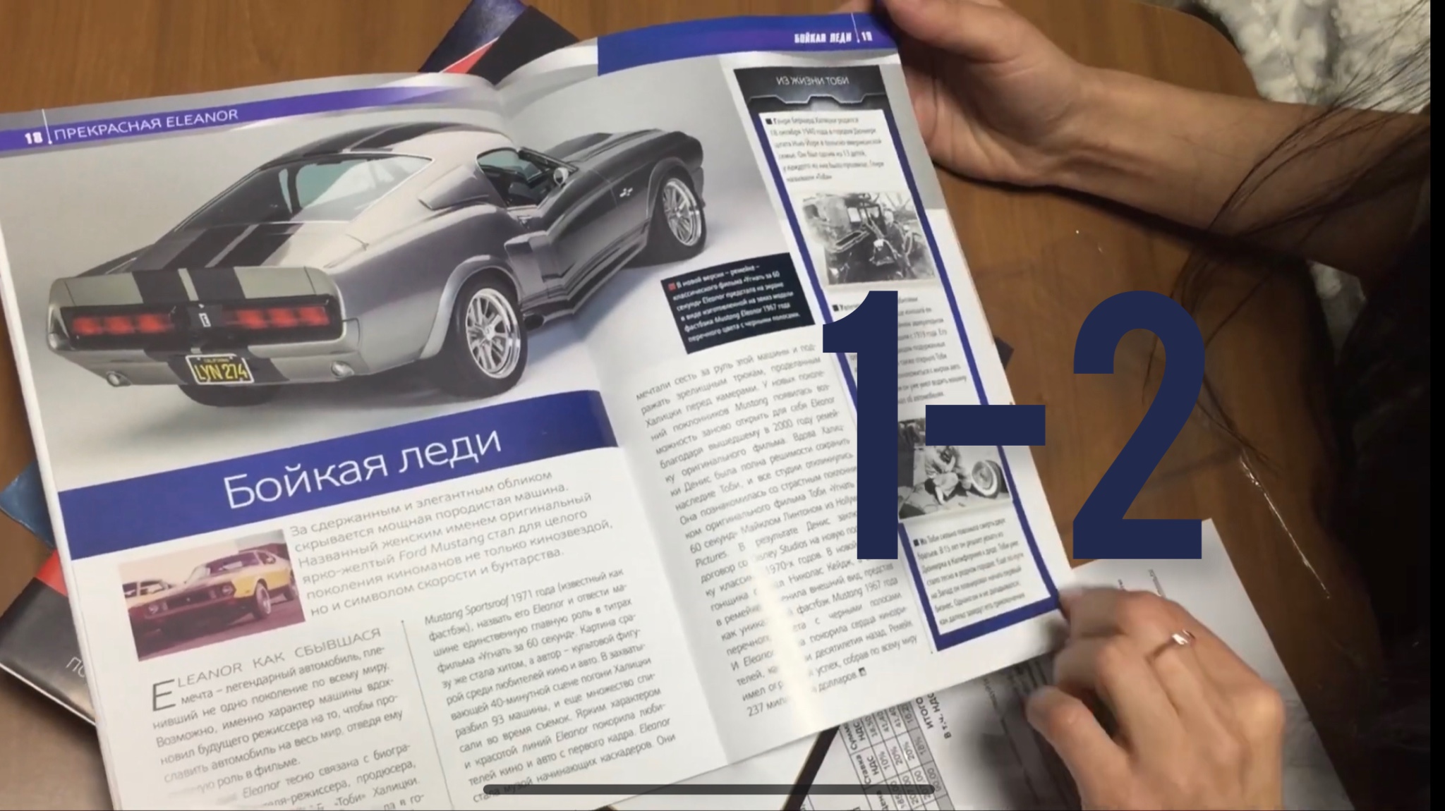 Ford Mustang GT 500 Shelby Eleanor 1-8