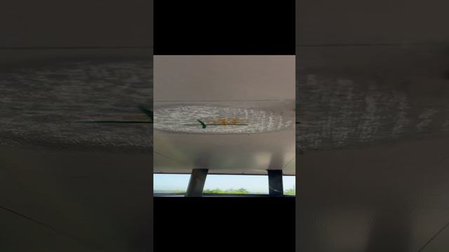 05-06-2024 #дымоход #трубочист #чисткадымохода #чистка #shortvideo #дымоходдляпечи #трубочисты #дымо