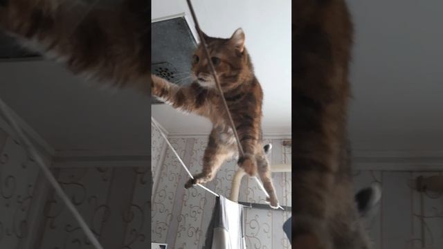 Люся Акробатка...