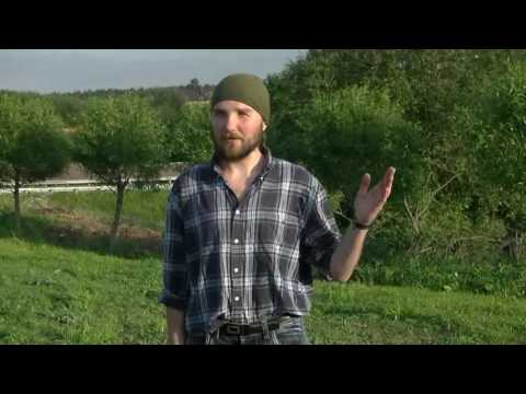 Отзыв о фестивале РОС 2016 АураМира