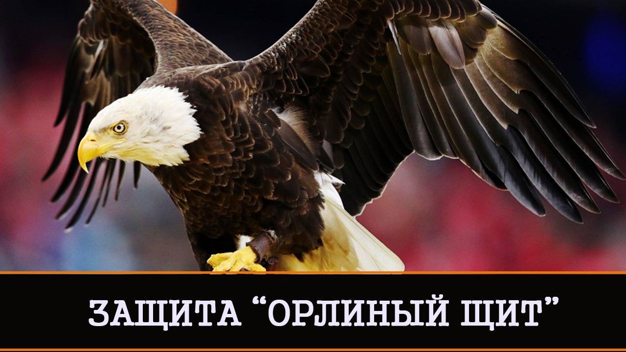 ЗАЩИТА ОРЛИНЫЙ ЩИТ. ДЛЯ ВСЕХ ▶️ ВЕДЬМИНА ИЗБА - ИНГА ХОСРОЕВА.