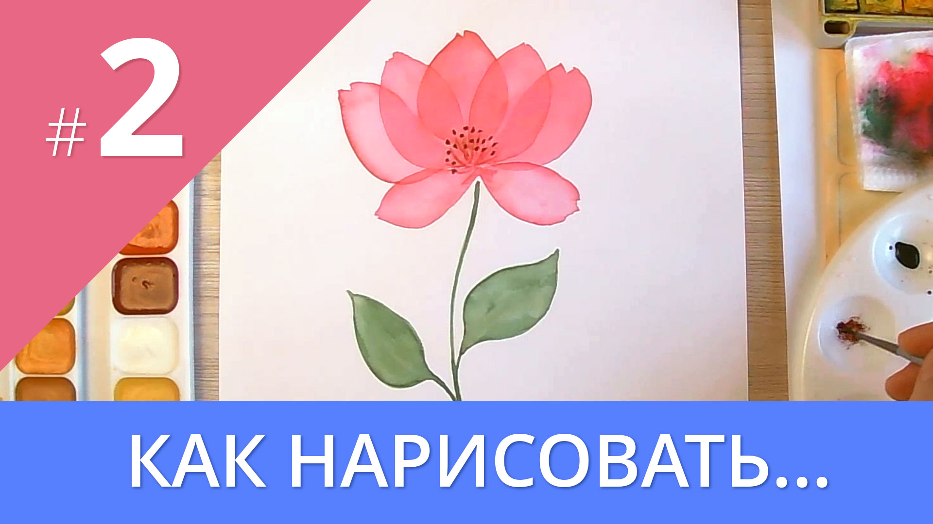 Как нарисовать цветок акварелью | №2