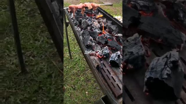 Очень странные шашлыки выдались